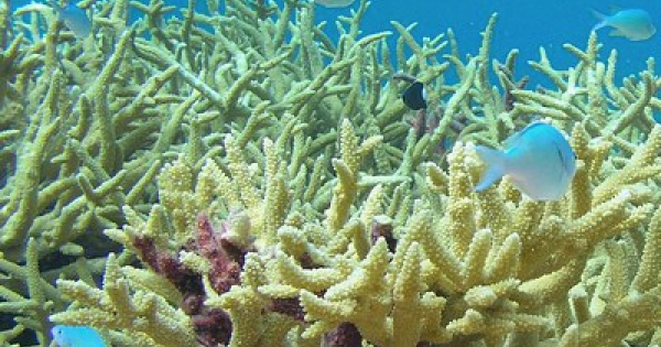 Le Pacific Remote Islands Marine National Monument