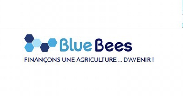 Blue Bees : une plateforme pour financer l'agriculture durable