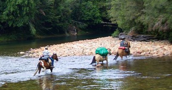Qu'est-ce que le tourisme alternatif