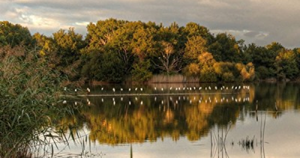 Tourisme vert : 5 choses à savoir sur le Parc naturel régional de la Brenne